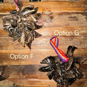 Chajchas: Peruvian Percussion Instruments Used by Healers and Shamans ...