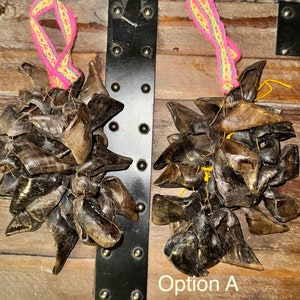 Chajchas: Peruvian Percussion Instruments Used by Healers and Shamans ...