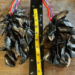 Chajchas: Peruvian Percussion Instruments Used by Healers and Shamans ...