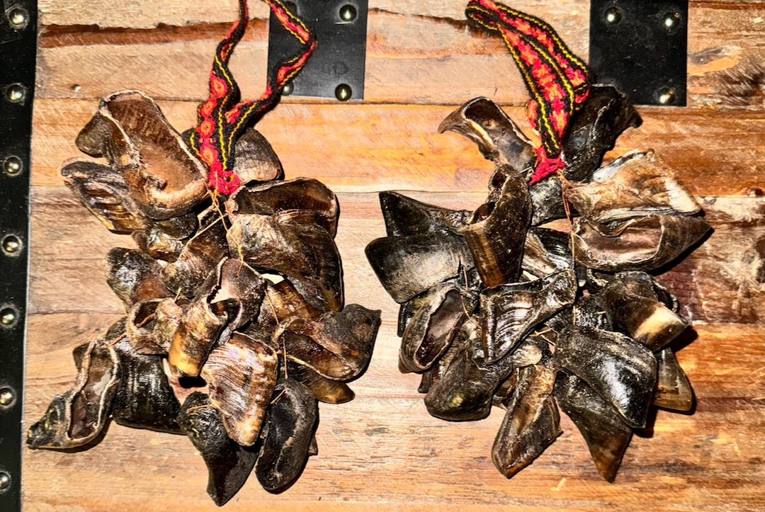 Chajchas: Peruvian Percussion Instruments Used by Healers and Shamans ...