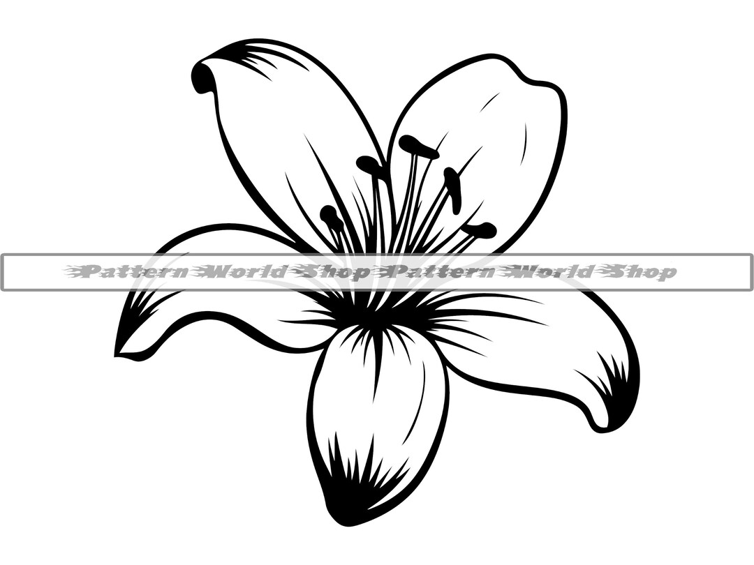 Lily Flower #5 SVG, Lily SVG, Flower SVG, Lily Flower Clipart, Lily ...