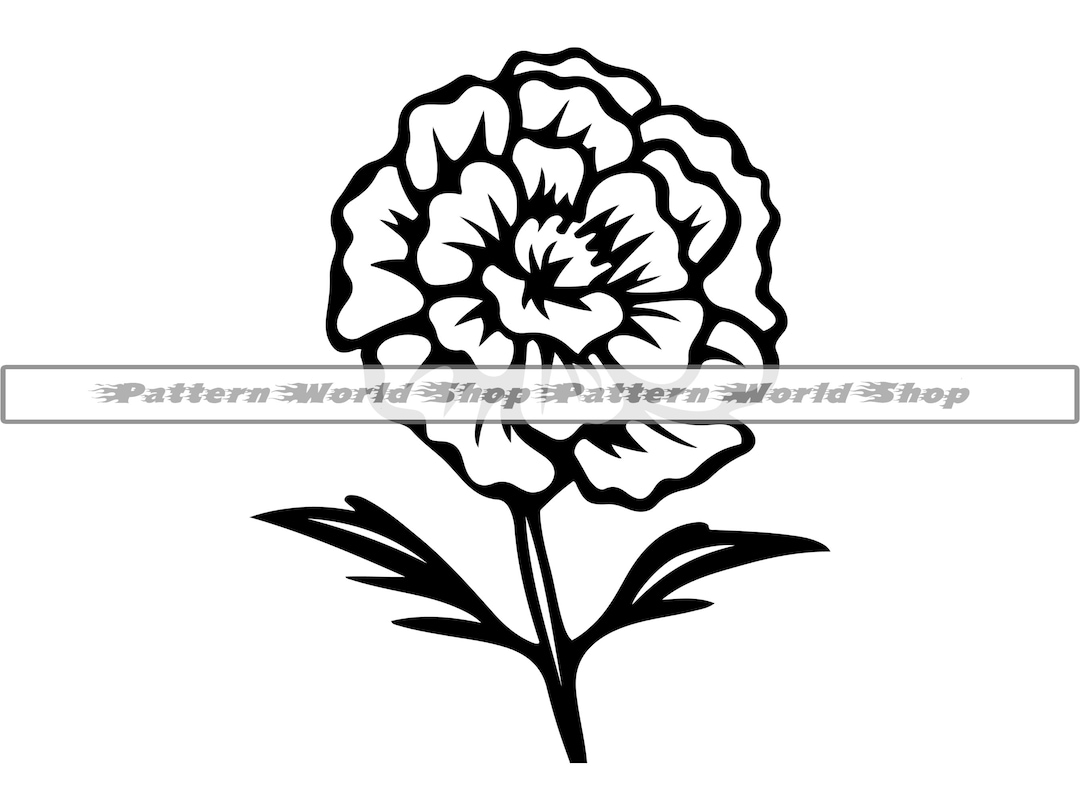 Marigold #2 SVG, Marigold Flower SVG, Flower Svg, Marigold Clipart ...