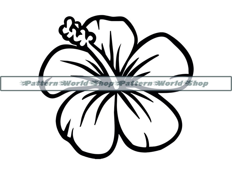 Hibiscus Outline SVG, Hibiscus SVG, Hawaiian Flower SVG, Hibiscus ...