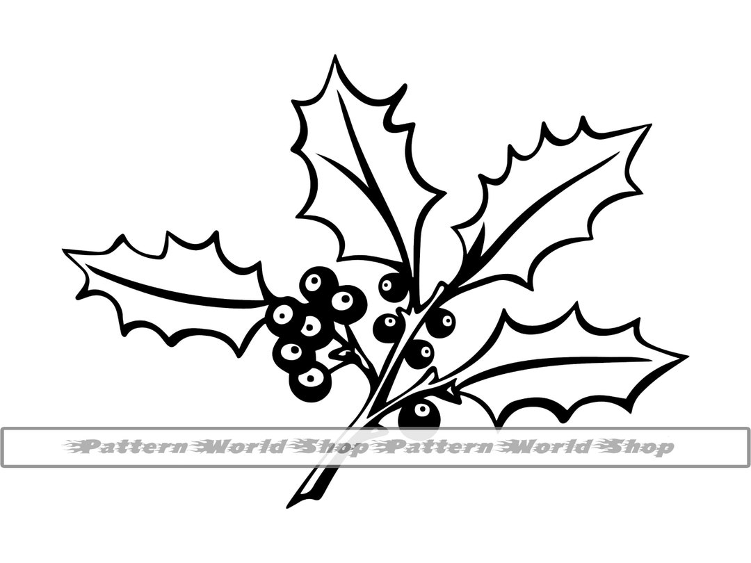 Holly Outline SVG PNG Dxf, December Birth Flower SVG, Christmas Berry ...