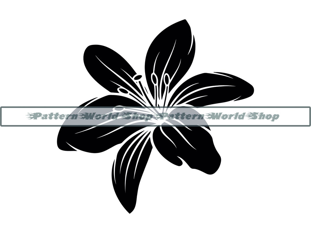 Lily Flower #3 SVG, Lily SVG, Flower SVG, Lily Flower Clipart, Lily ...
