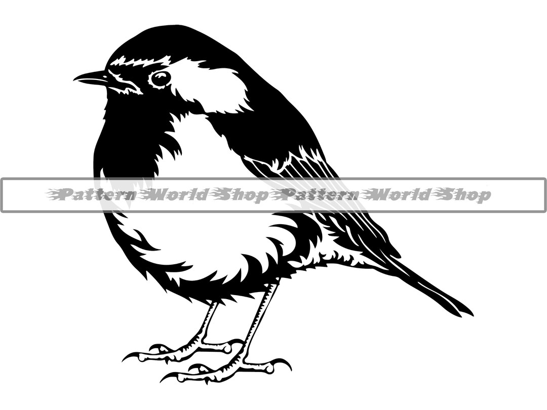 European Robin SVG, Bird SVG, European Robin Clipart, European Robin ...