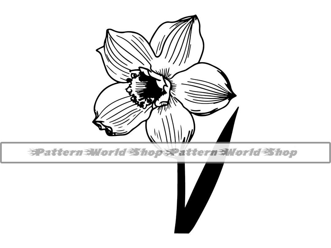 Daffodil SVG, Daffodil Flower SVG, Daffodil Clipart, Daffodil Files for ...