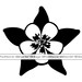 Columbine Flower SVG, Colorado State Flower SVG, Columbine Flower ...