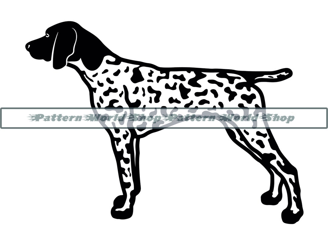 German Shorthaired Pointer SVG, Dog SVG, German Shorthaired Pointer ...