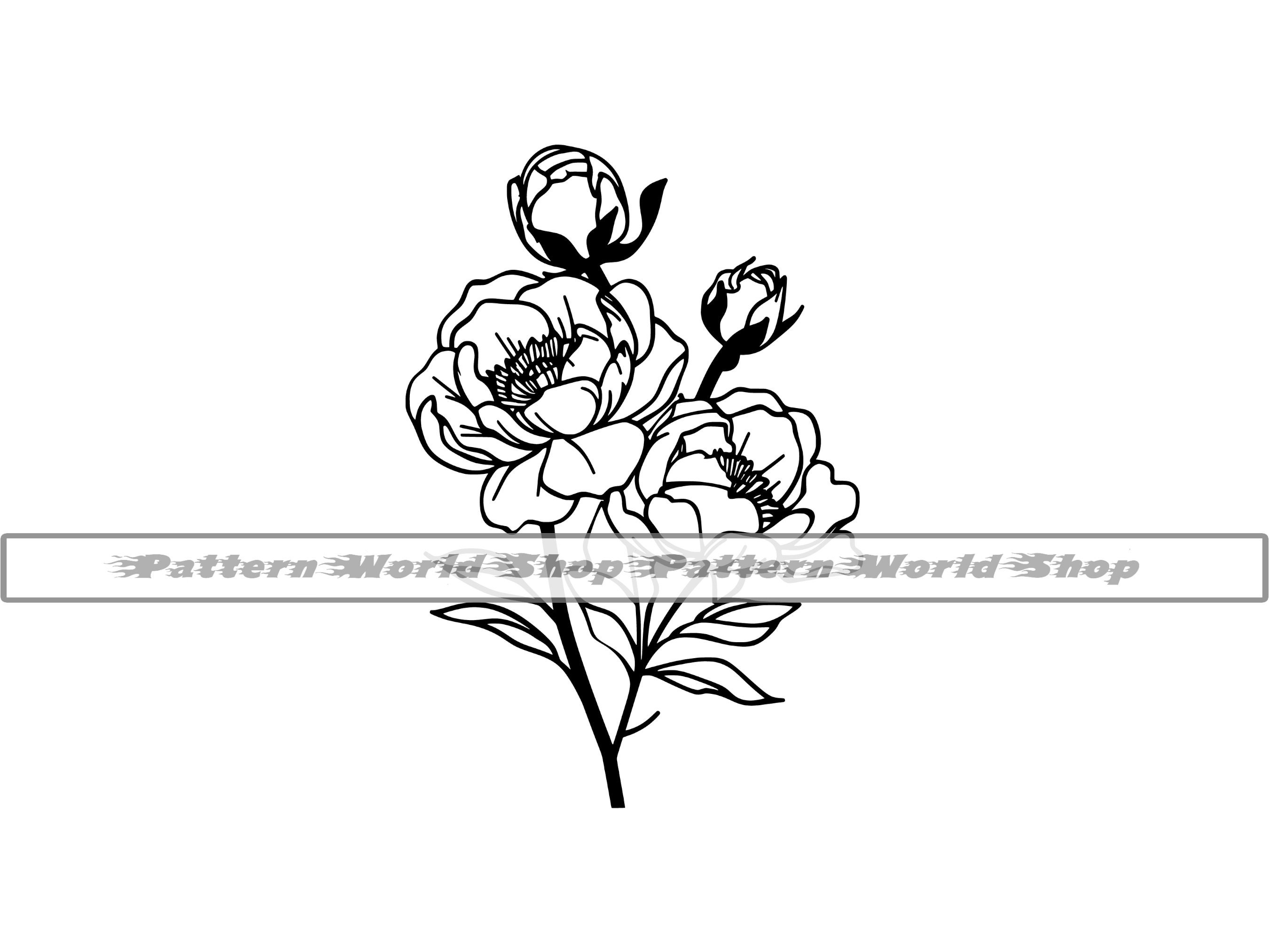 Peony Flower SVG Bundle, Peony SVG, Wedding Flowers Svg, Peony Clipart ...