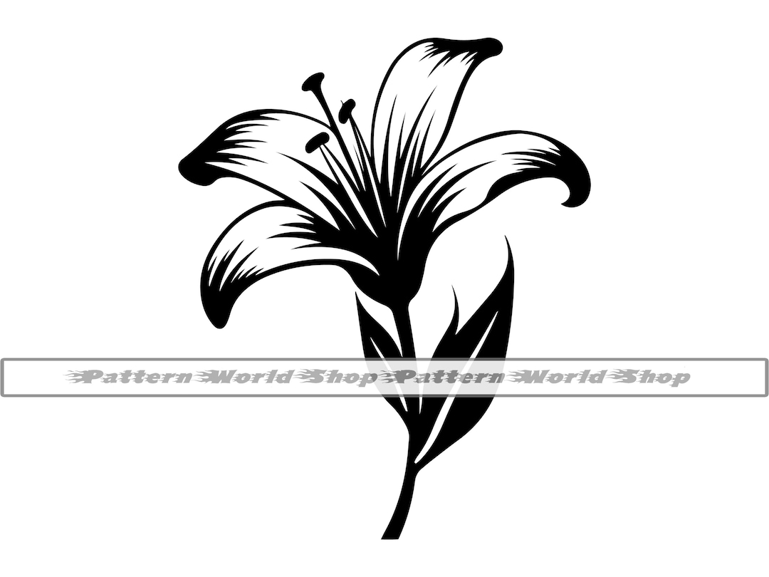 Lily Flower #4 SVG, Lily SVG, Flower SVG, Lily Flower Clipart, Lily ...