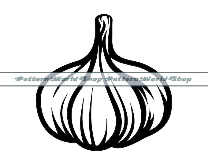 Garlic SVG, Garlic Vector Graphics, Garlic Clove SVG, Kitchen SVG ...