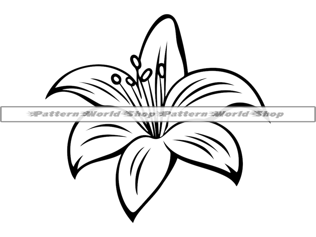 Lily Flower #6 SVG, Lily SVG, Flower SVG, Lily Flower Clipart, Lily ...