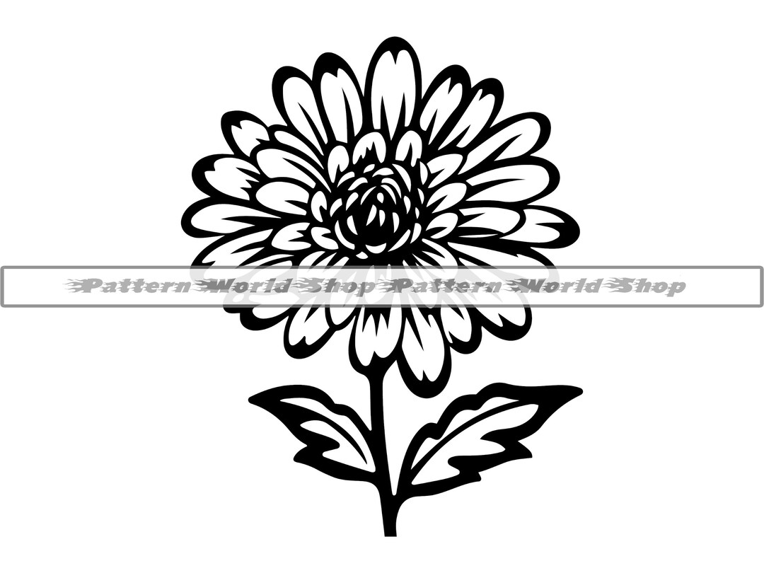 Aster Flower #2 SVG, September Birth Flower SVG, Aster SVG, Aster ...