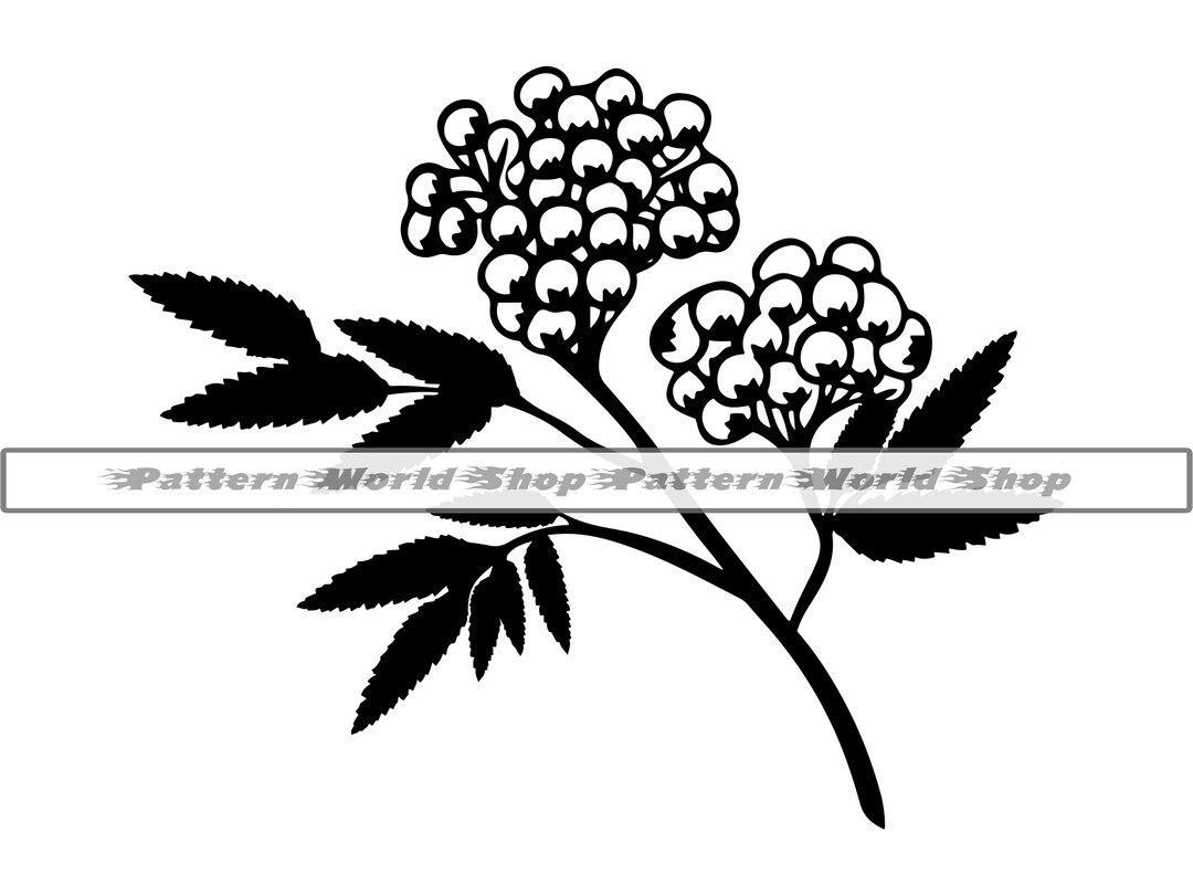 Rowan Tree SVG, Rowan SVG, Birth Tree Svg, Rowan Clipart, Rowan Files ...