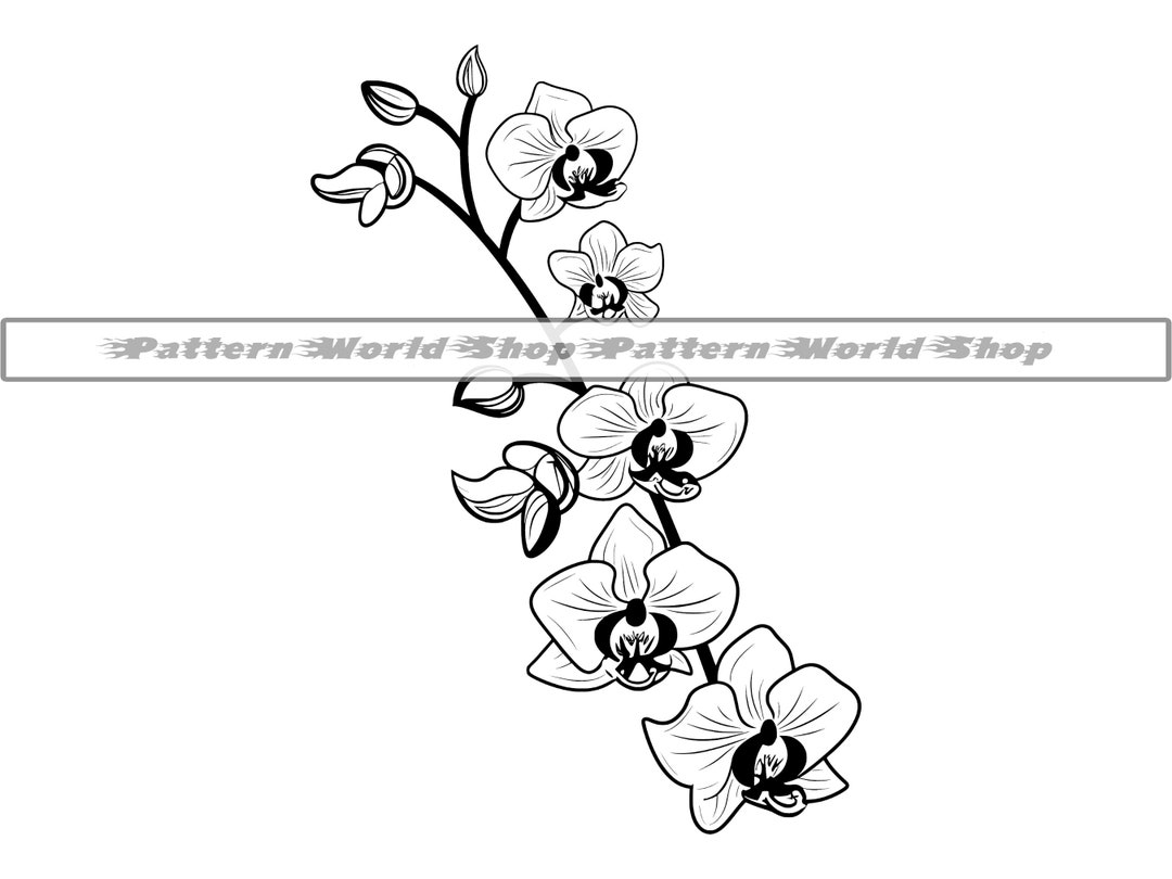 Orchid SVG PNG DXF, Orchid Flower Svg, Orchid Branch Svg, Orchid ...