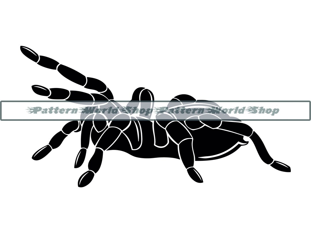 Tarantula #2 SVG, Spider Svg, Tarantula Clipart, Tarantula Files for ...