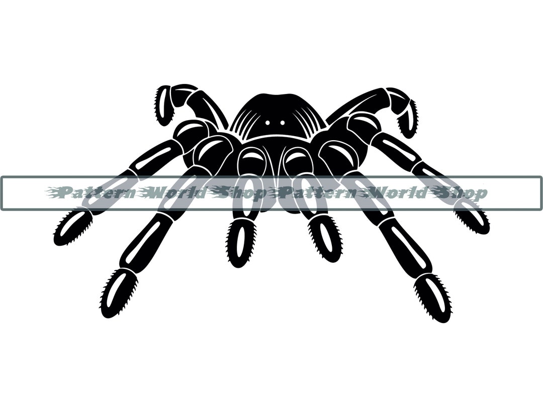 Tarantula SVG, Spider Svg, Tarantula Clipart, Tarantula Files for ...