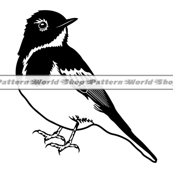 Bluebird Svg - Etsy