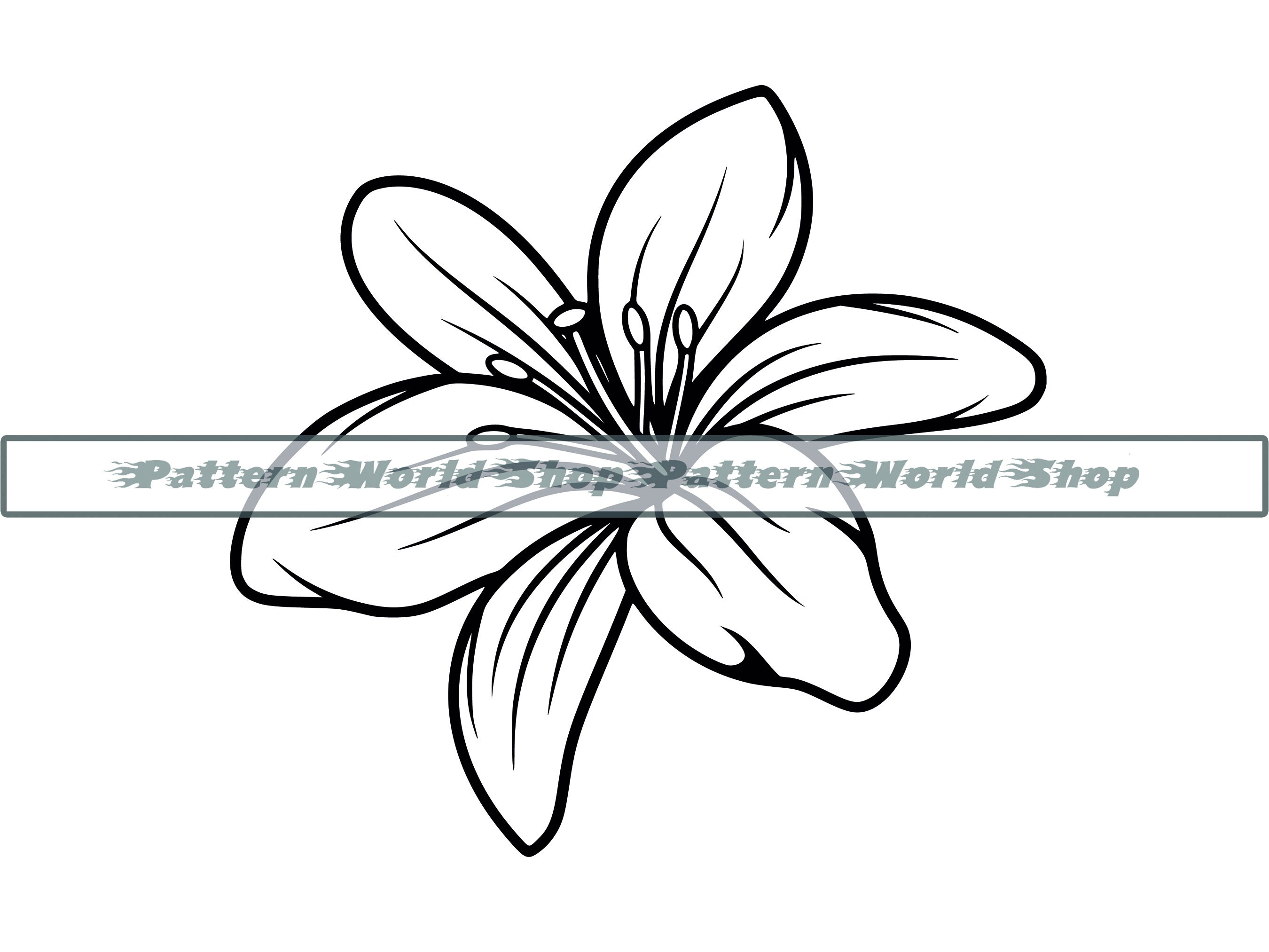 Lily Flower SVG Lily SVG Flower SVG Lily Flower Clipart - Etsy Canada
