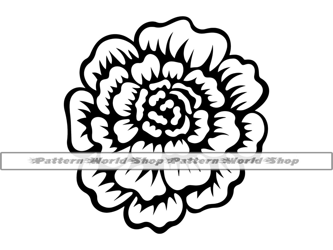 Marigold SVG, Marigold Flower SVG, Flower Svg, Marigold Clipart ...