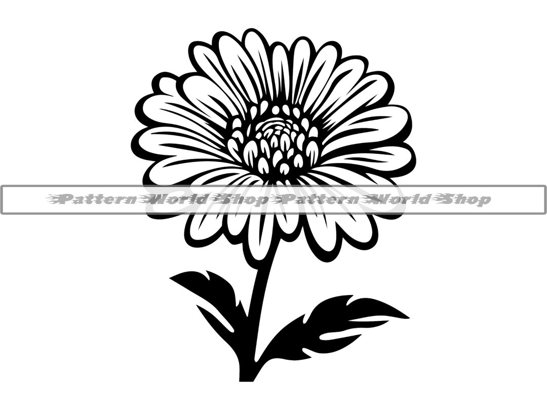 Aster Flower SVG, September Birth Flower SVG, Aster SVG, Aster Clipart ...