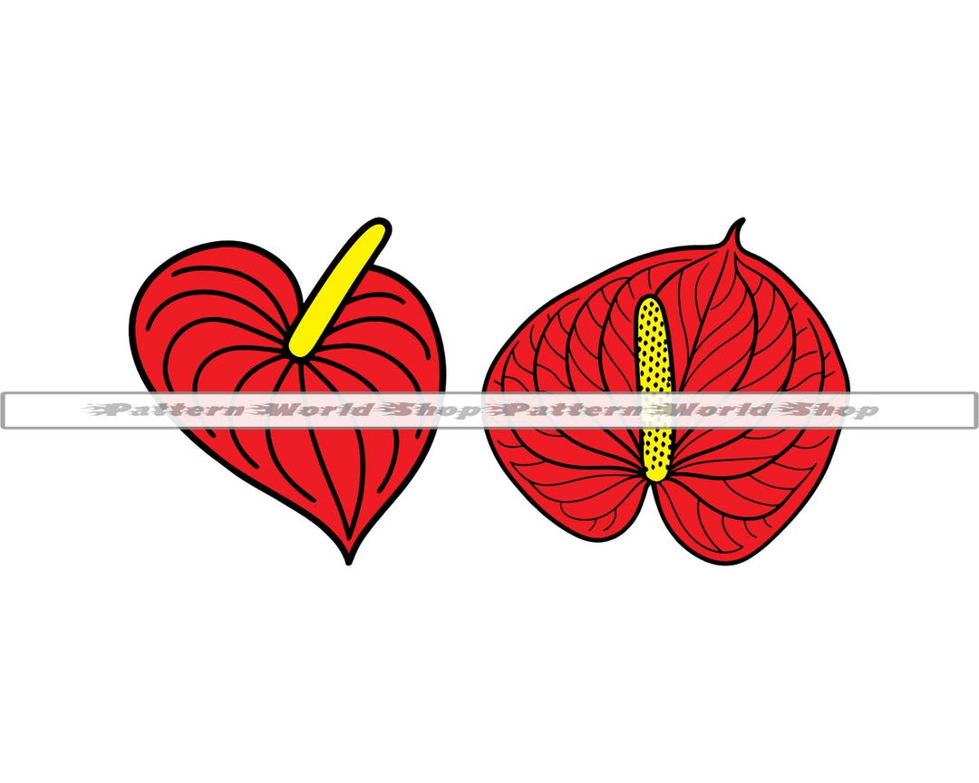 Anthurium Flower SVG, Anthurium Outline SVG, Flamingo Flower SVG ...