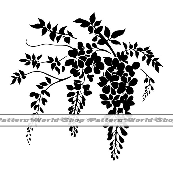 Wisteria - Etsy