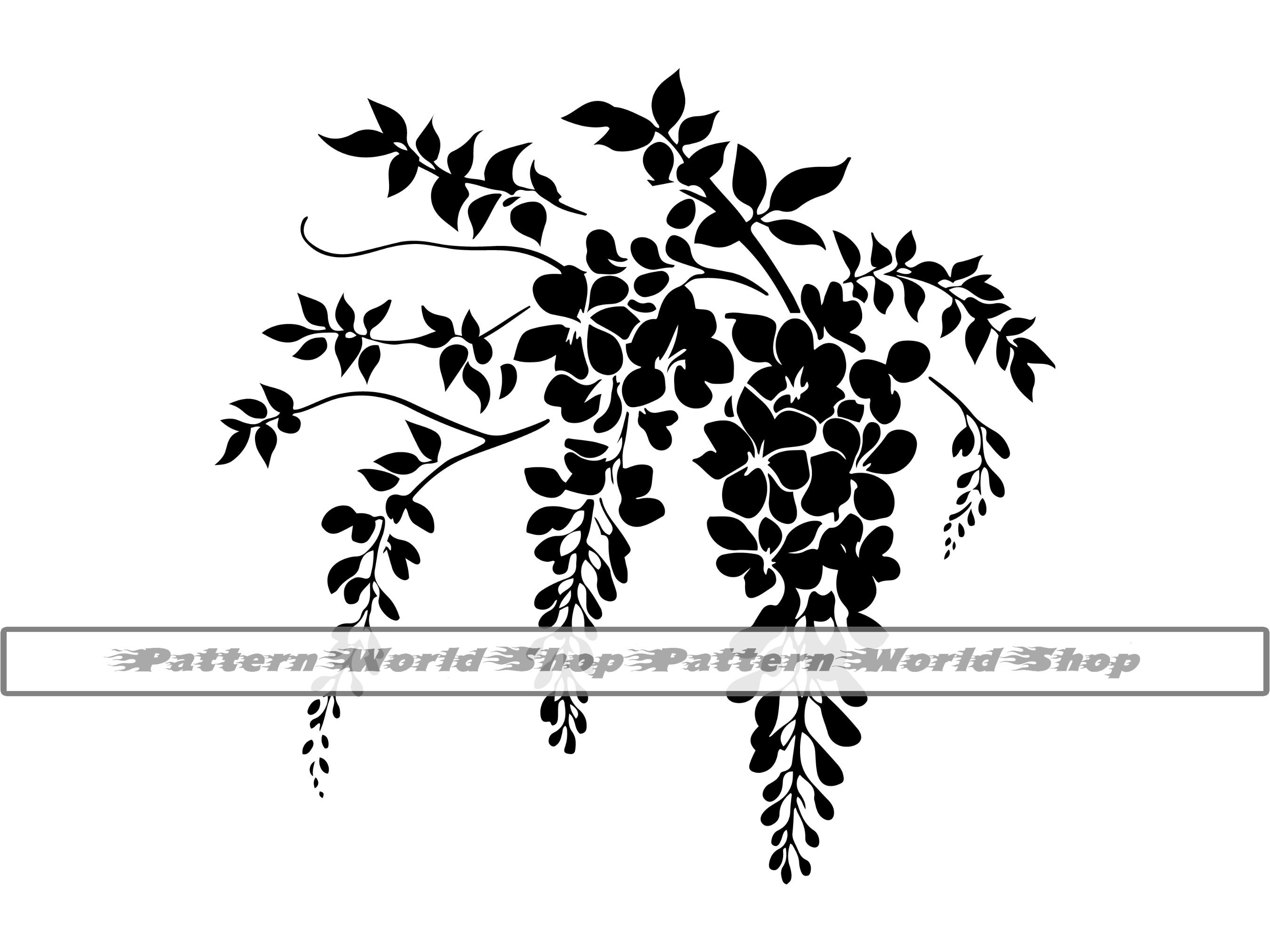Wisteria #2 SVG, Wisteria Flower SVG, Wisteria Floral SVG, Wisteria ...