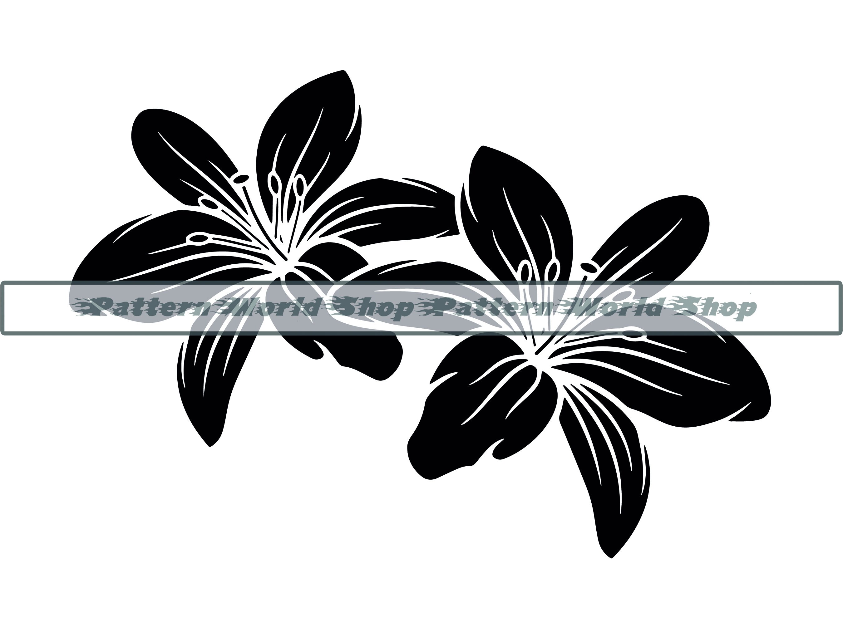 Lily Flowers SVG Lily Flower Svg Lily SVG Flower Svg Lily - Etsy Canada