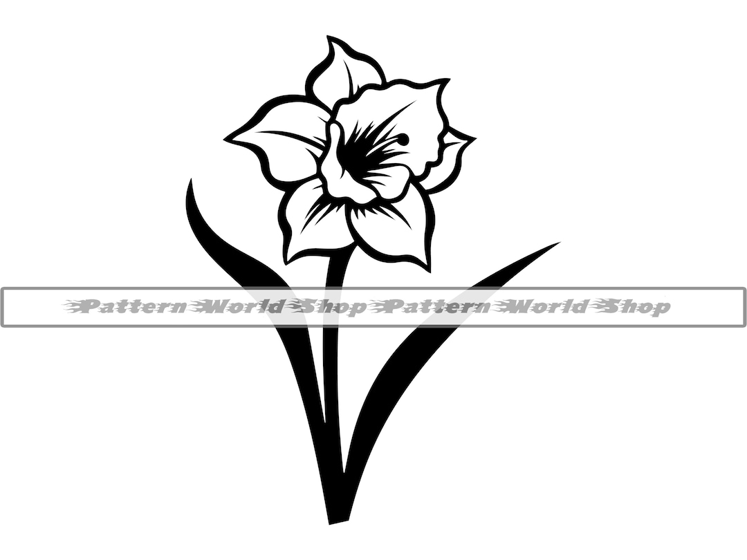 Narcissus SVG, December Birth Flower SVG, Narcissus Clipart, Narcissus ...