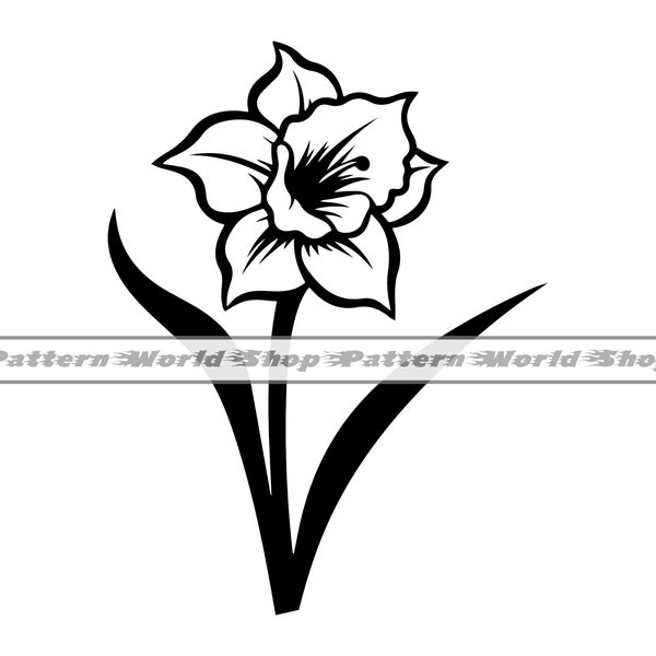 Narcissus Svg - Etsy
