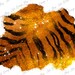 Tiger Patches Png Sublimation Design, Western Patch Bundle, Western ...