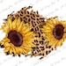 Sunflower Leopard Patch Png, Western Patch Bundle, Leopard Patch Png ...