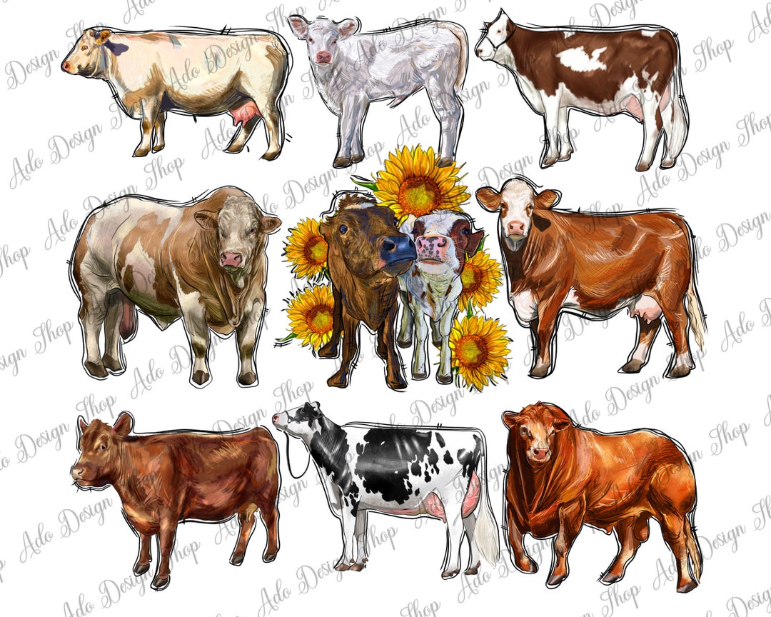 Western Cows and Sunflowers Png Sublimation Design, Western Cow Png ...