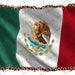 Leopard Mexico Flag Png Sublimation,mexico Flag Png,mexico Leopard ...
