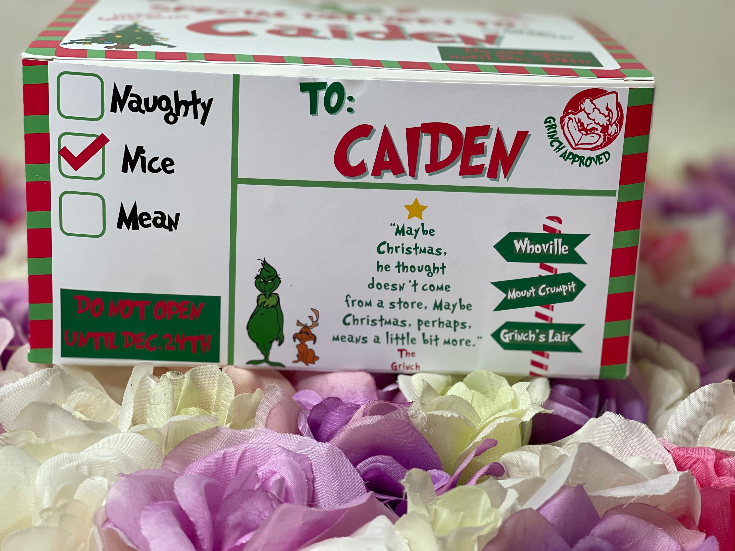 Grinchmas Eve Boxes| Grinchmas Box - Etsy