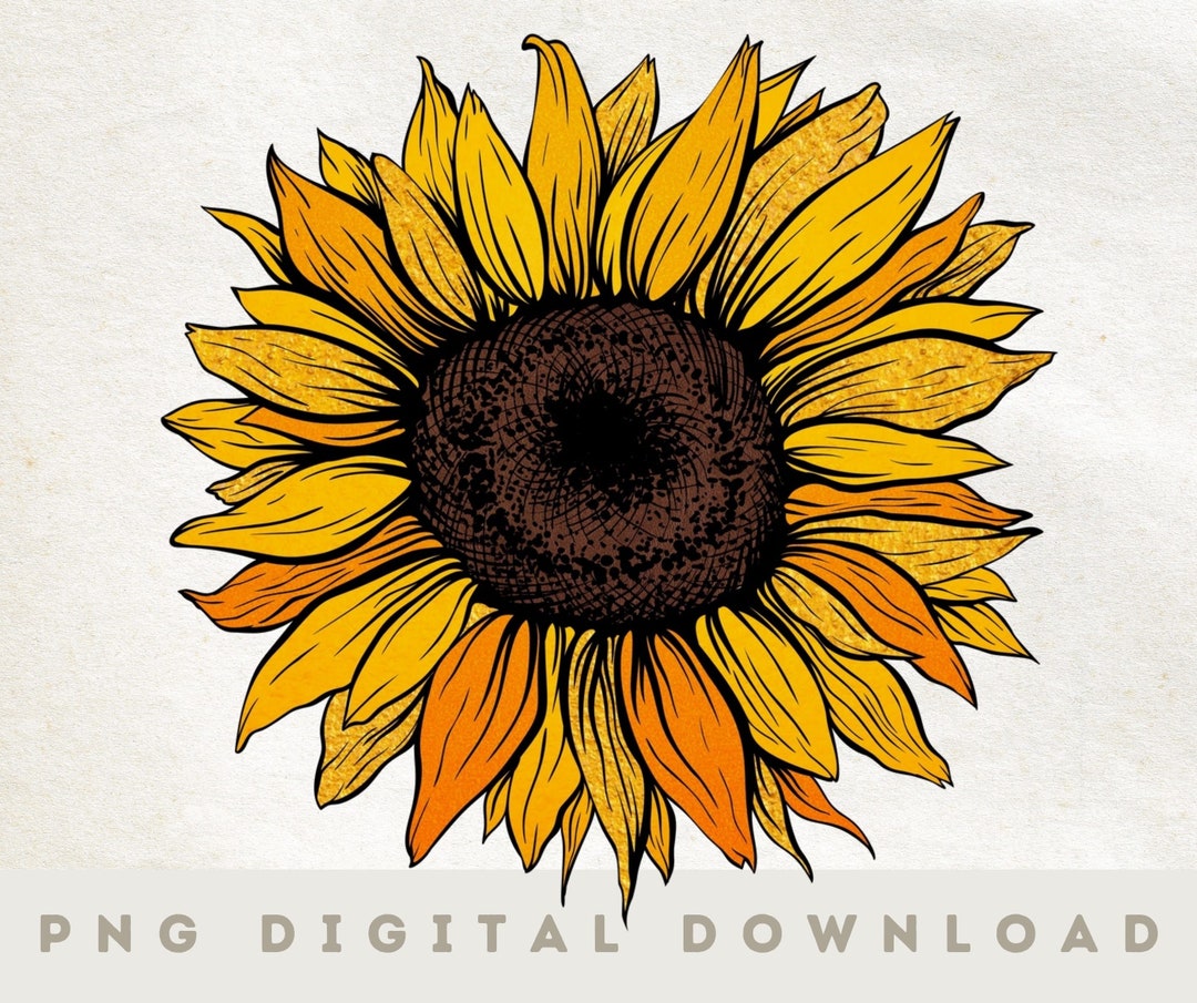 Sunflower Png- Colorful Sunflower Sublimation Designs - Bright Flower ...