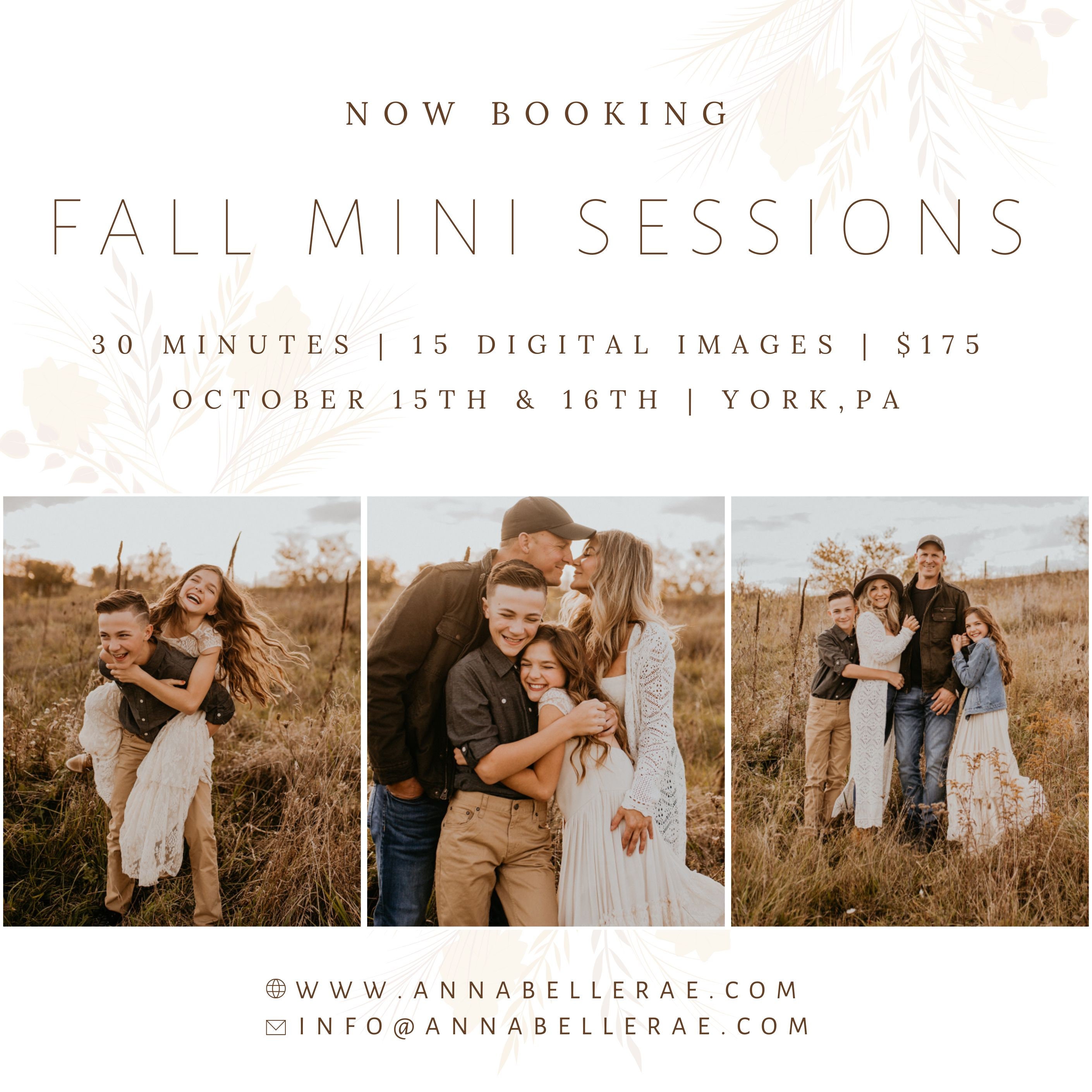 Fall Mini Session Template Canva Mini Session Photography - Etsy