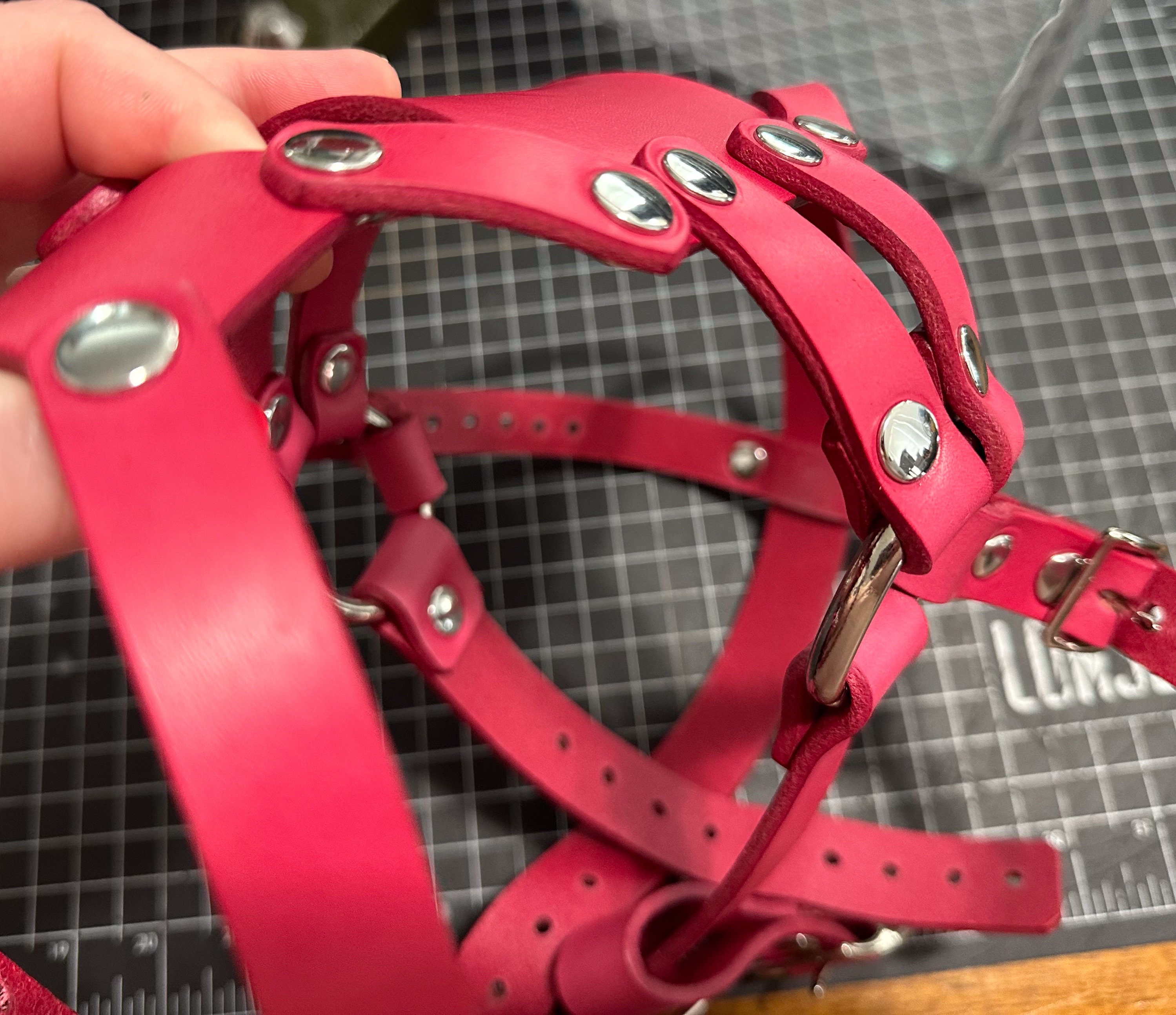 Leather Harness Muzzle Restraint multiple Colours - Etsy