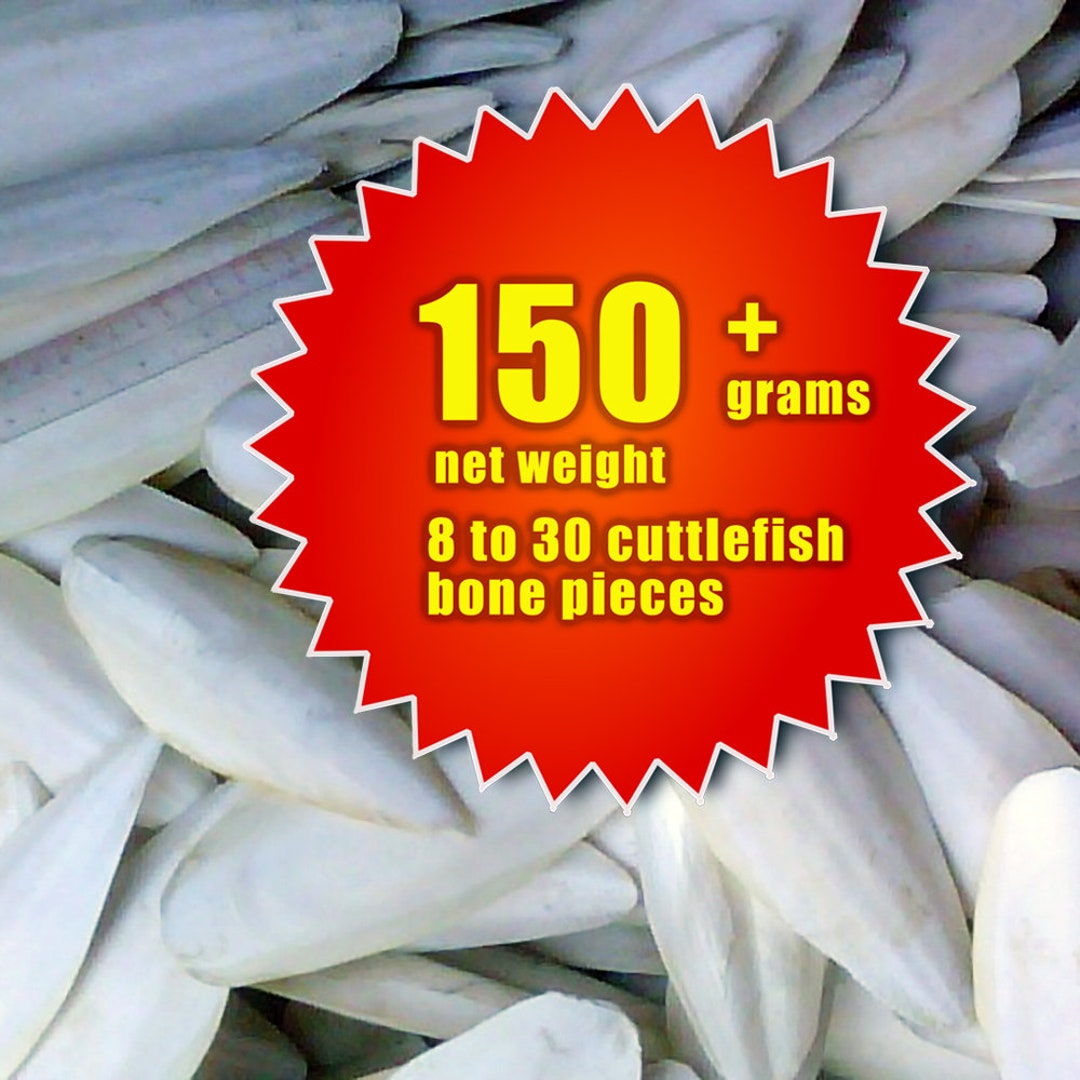Sepia Cuttlefish Bone 150 Grams Natural Calcium Birds, Isopods, Snails ...