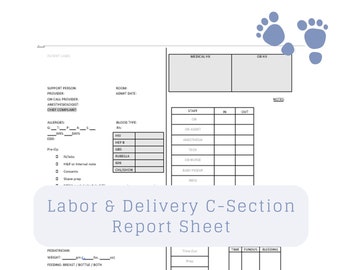 Labor and Delivery Report Sheet - Etsy