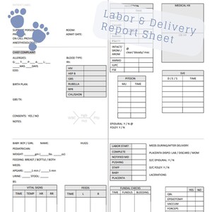 Labor and Delivery Report Sheet/l&d Nursing Brain/ob Report Sheet for ...