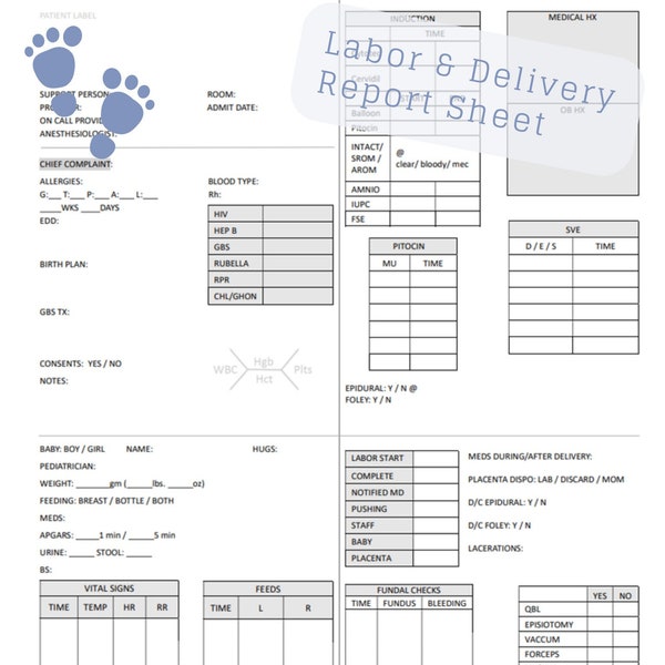 Labor and Delivery Nurse Report Sheet - Etsy