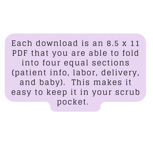 Labor and Delivery Report Sheet/l&d Nursing Brain/ob Report Sheet for ...