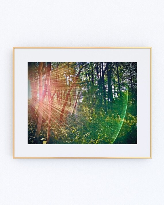 THE ART of Lightlight Ray Photography Nature Photography - Etsy