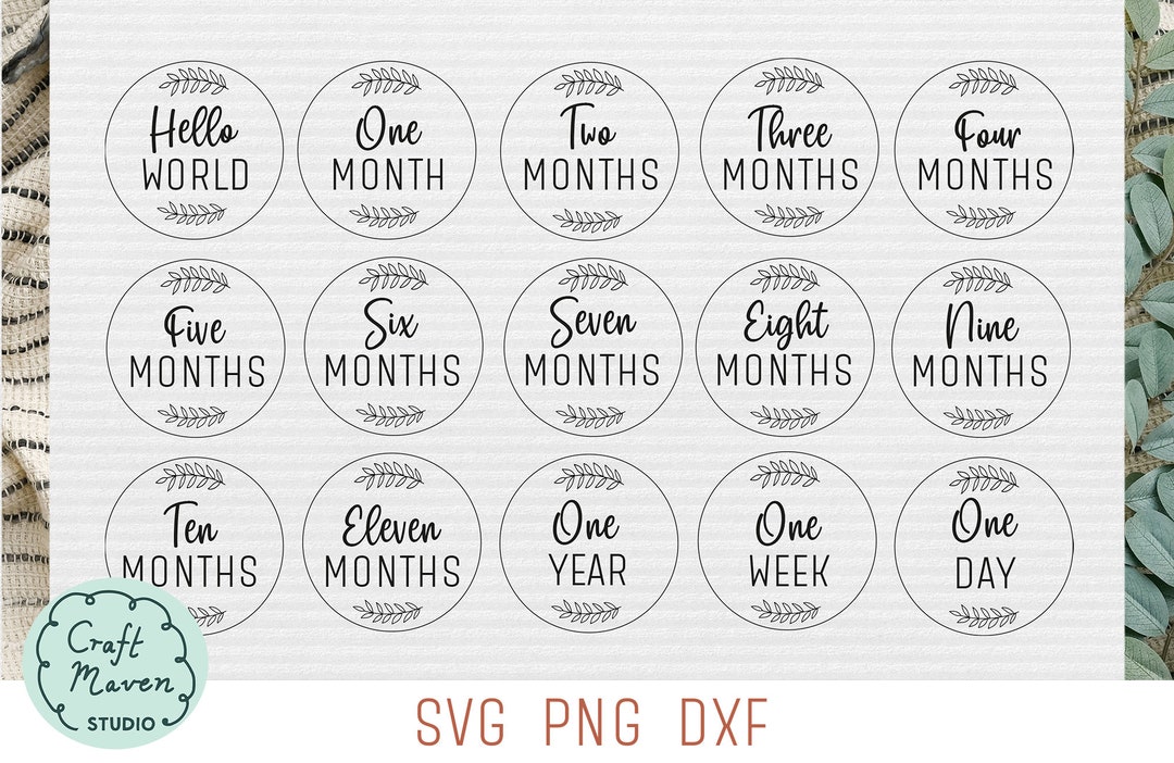 Milestone Discs SVG, Baby Milestone SVG Files, Baby Monthly Milestone ...