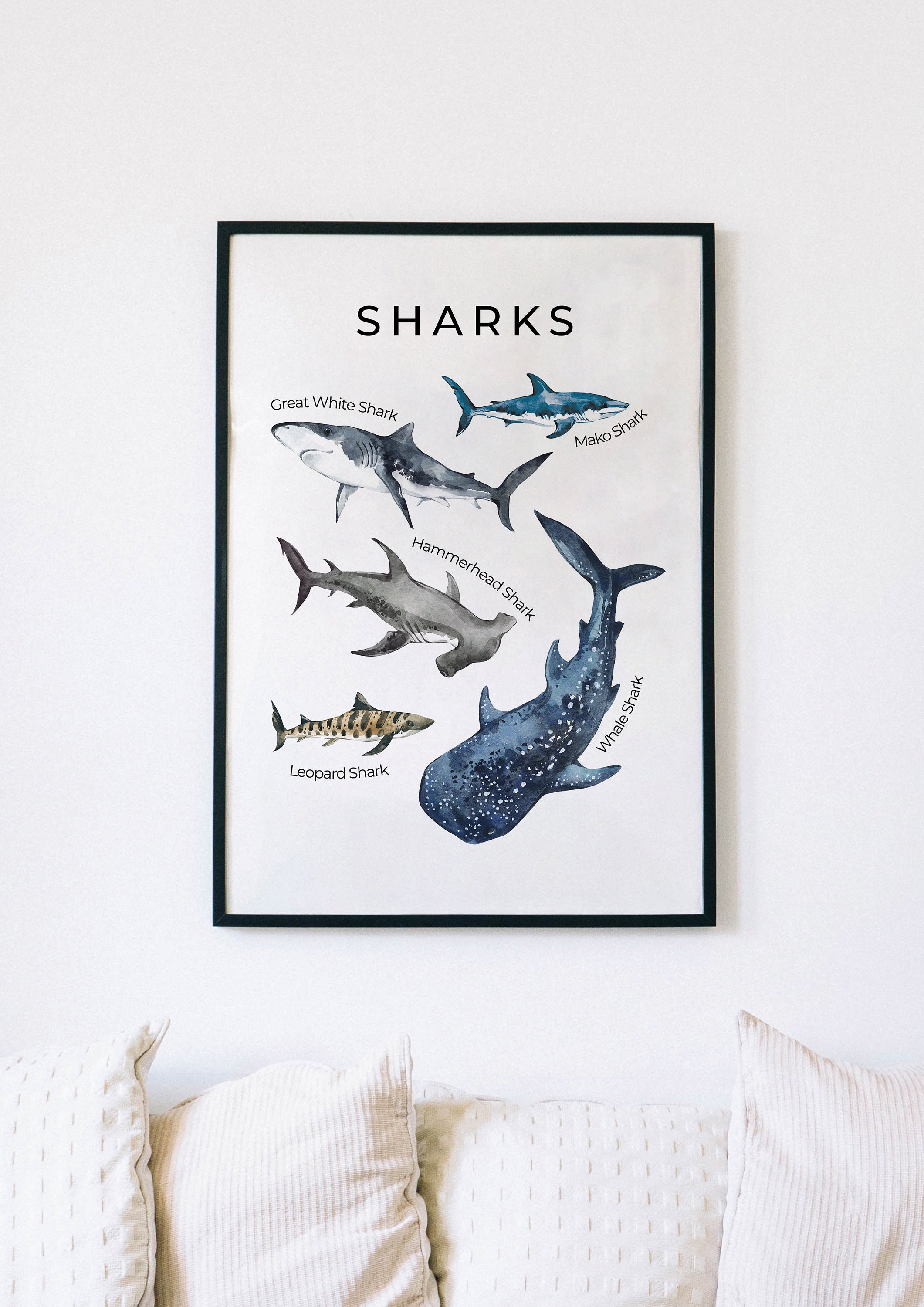 Shark Posters For Kids