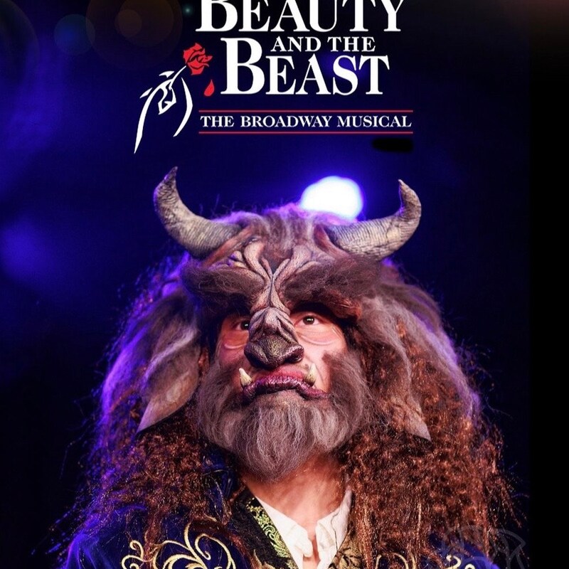 Beauty and the Beast Mask - Etsy