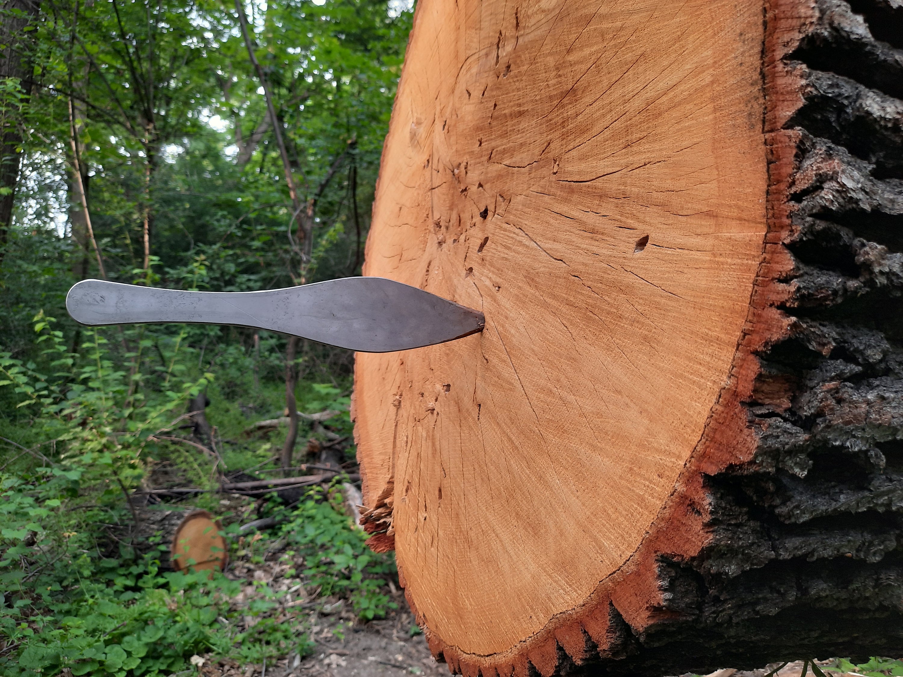 CURVED LEAF Heavy Throwing Knife Set of 3 Heavy Throwing | Etsy